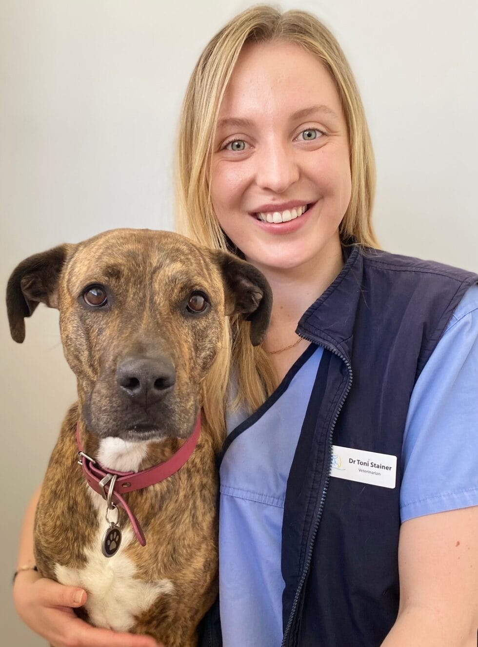 Mona Vale Veterinary Hospital | Northern Beaches Vets